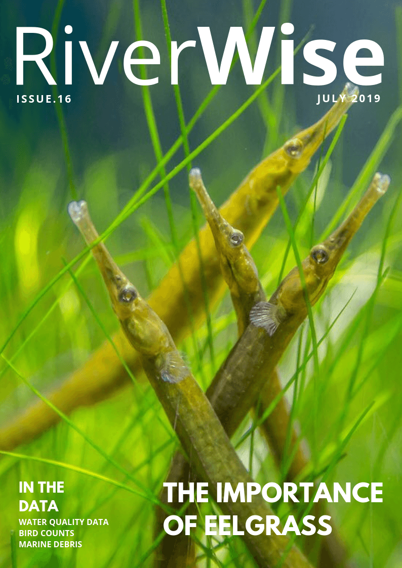riverwise-cover-cm – Lower Breede River Conservancy Trust