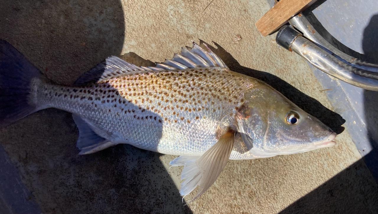 RiverWise – February 2024 P – Lower Breede River Conservancy Trust