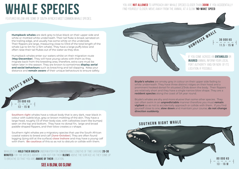 RiverWise – June 2024 P – Lower Breede River Conservancy Trust