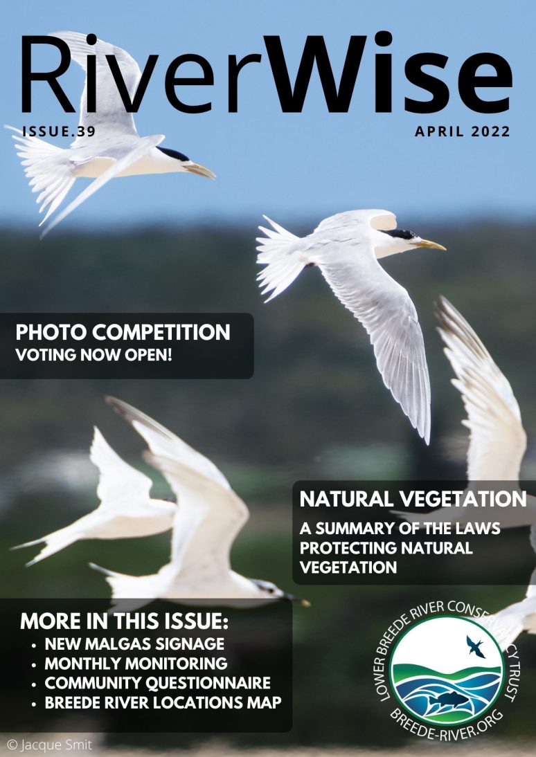 RIVERWISE NEWSLETTER – Lower Breede River Conservancy Trust